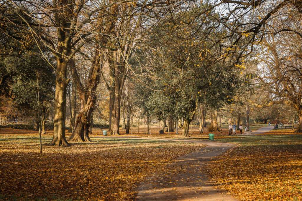 Instagrammable Cardiff - Live Cardiff